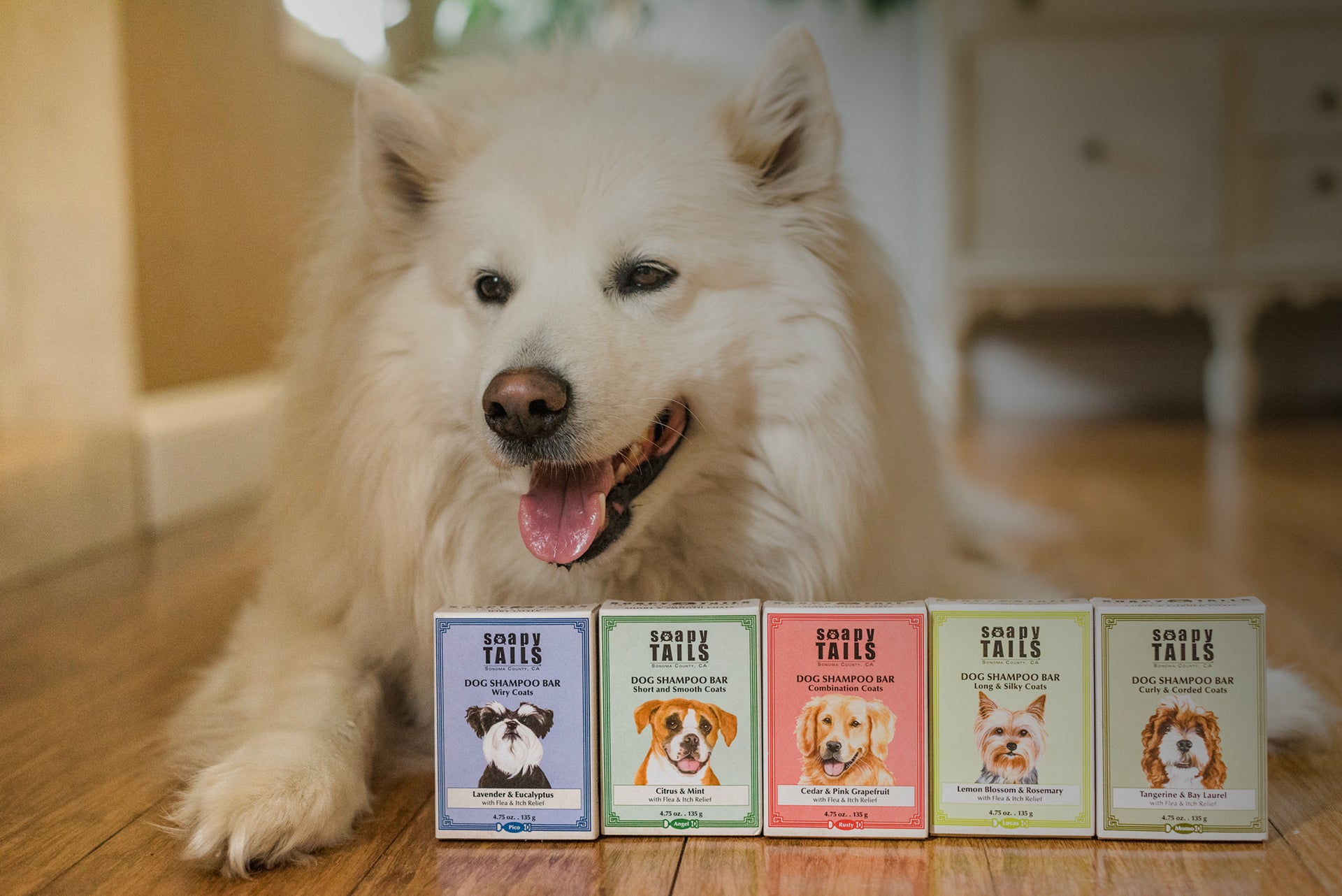 Soap Cauldron California handcrafted natural soaps and skincare